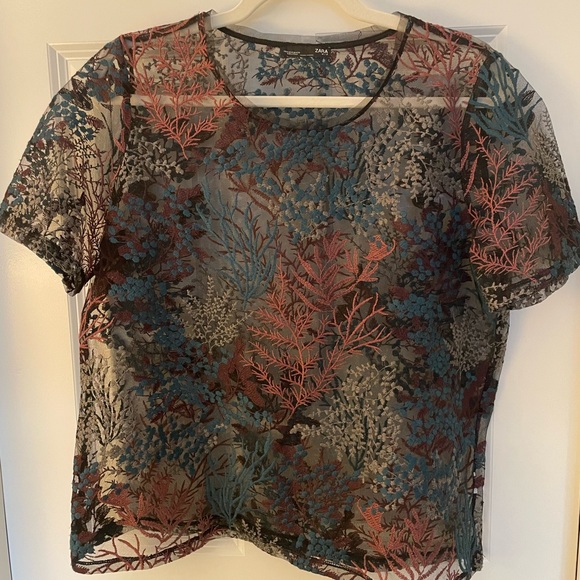 Zara | Tops | Zara Sheer Black Shortsleeve Blouse | Poshmark